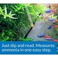 API Ammonia Aquarium Test Strips, Measures 0-6 ppm, Freshwater and ...