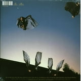 Kate Bush - Never For Ever (2018 Remaster) - Vinyl - Walmart.com