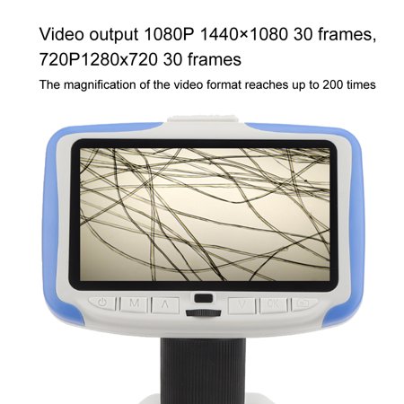 Endoscope Magnifier Toy, Microscope Toy, Plastic Electronic For ...