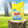 Sun Liquid Laundry Detergent plus OXI Stain Removers and Whiteners ...