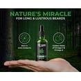 Beardo Beard & Hair Care Combo | Daily Repair Hemp Beard Oil, 30 ml ...