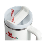 Stanley Mistletoe Limited Edition 40oz Quencher H2.0 Flowstate Tumbler ...