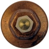 Dorman 02483 Engine Core Plug - Walmart.com
