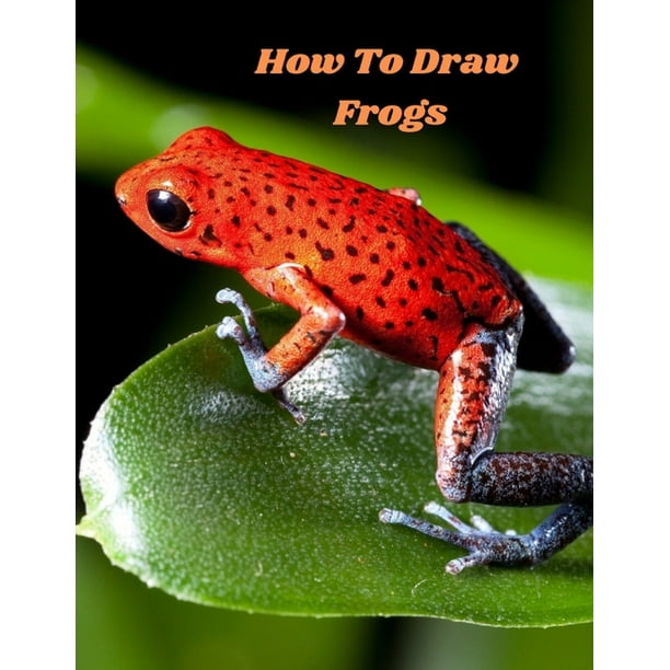 How To Draw Frogs : an art drawing book to learn the step-by-step way ...