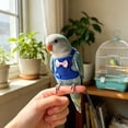 Bird Walking Jacket Escape Proof Outdoor Vest for Cockatiel Budgie ...