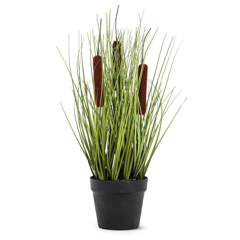 Set of 1 Cattail Grass in Pot - Walmart.com