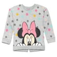 Disney Minnie Mouse Sweat Clothes: Little Girls Fleece Sweatshirt and ...