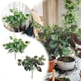 and for Indoor Greenery Vines with Pothos Leaves Easter Pattern Print ...