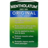 Mentholatum Original Topical Analgesic Ointment Rub, 1 oz - Walmart.com