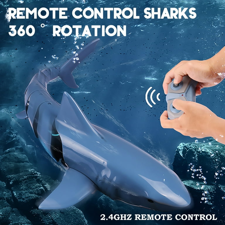 Remote Control Fish In Water