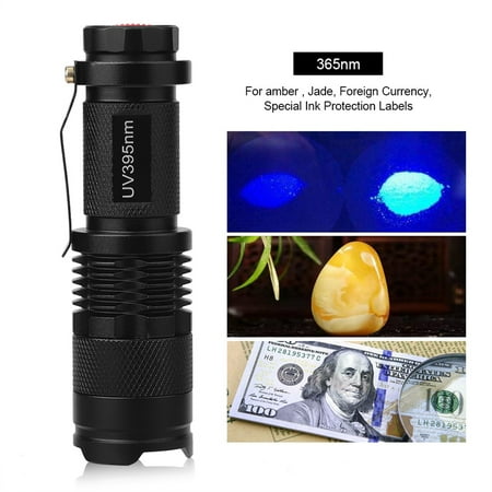 LED UV Black Light Flashlight, 365Nm-395Nm Blacklight Flashlight ...