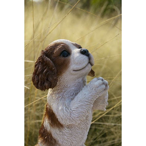 PRAYING CAVALIER KING CHARLES SPANIEL PUPPY STATUE - Walmart.com