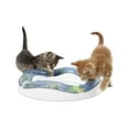 Catit Design Senses Speed Circuit Cat Toy - Walmart.com