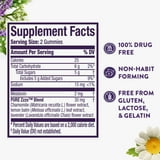 Vicks ZzzQuil Pure Zzzs Melatonin Nighttime Chewables, Sleep Aid ...