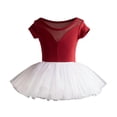 IVEYRTF Girls Swan Ballet Dress Leotard with Mesh Tutu Kids Dance ...