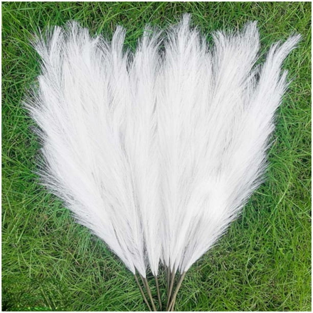 O'force Artificial Pampas Grass Décor Tall-Pompous Grass Large-Fluffy ...