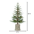 3 ft. Pre Lit Clear UL Potted Natural Cut Lightly Frosted Pine Tree ...