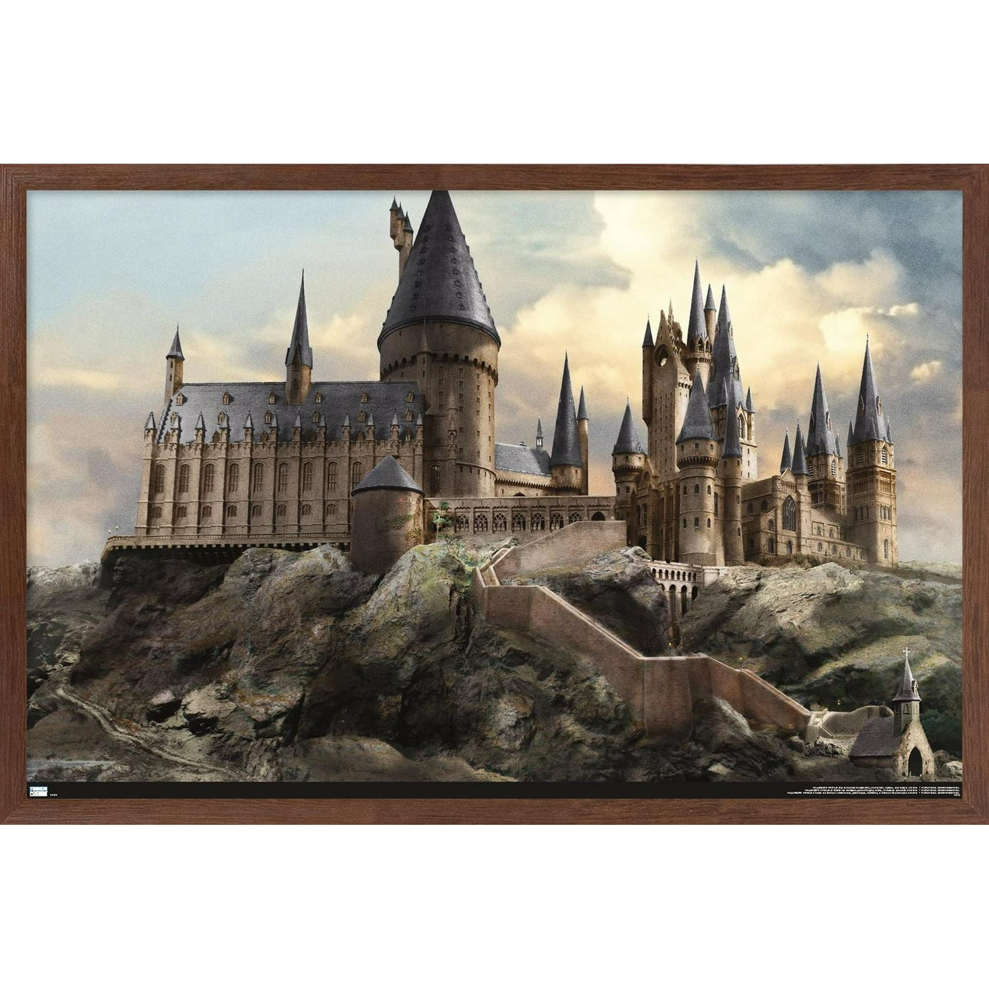 Click here for Trends International The Wizarding World: Harry Po... prices