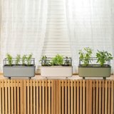 Vego Garden 2 Pack Self-Watering Herb Planter Box with Trellis Fog Gray ...