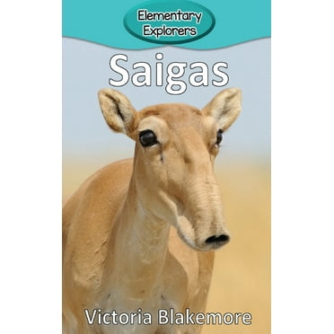 Elementary Explorers: Camels (Hardcover) - Walmart.com