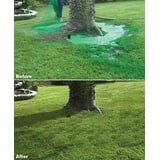 Hydro Mousse Liquid Lawn Fescue Kit, 1 PC, Grass Seed Grow with Spray-n ...
