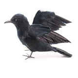 atopo 2-Pack Black Realistic Crows Lifesize Black Feathered Crow for ...