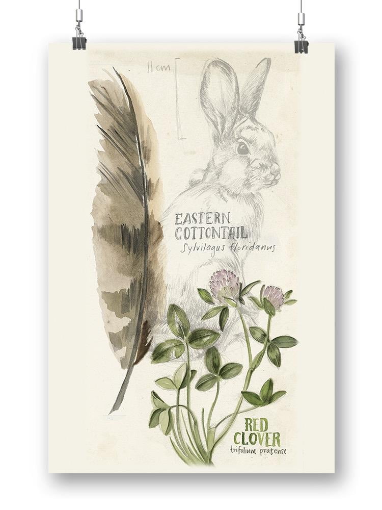 Wildlife Journal Hare Poster - Jennifer Paxton Parker Designs ...