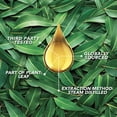 SpaRoom Aromatherapy 100% Pure Undiluted Essential Oil, Invigorate ...