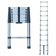 Surco Stainless Steel Van Ladder Fits Promaster - High Roof - Walmart.com
