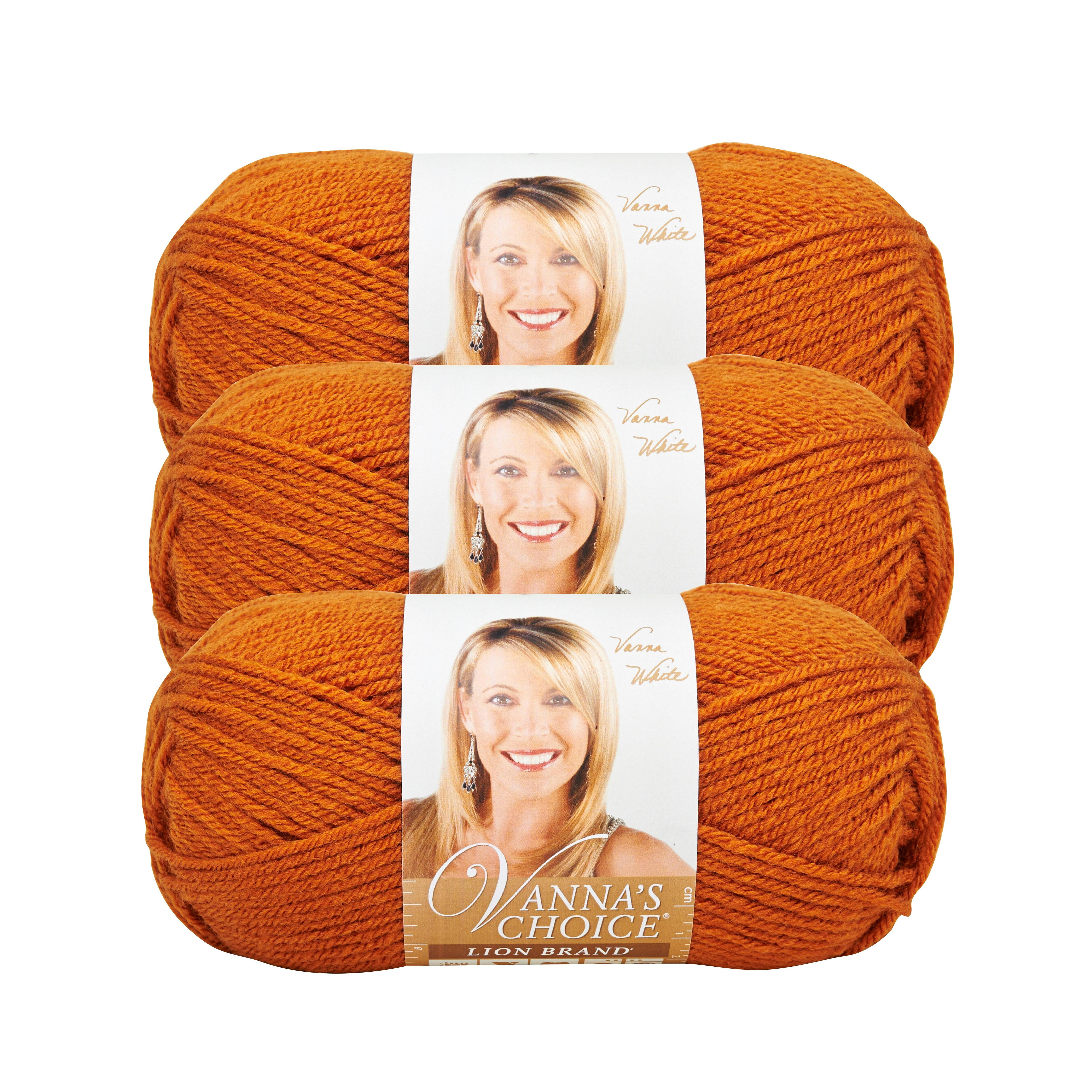 Lion Brand Yarn Vanna's Choice Rust Basic Medium Acrylic Red Yarn 3 ...