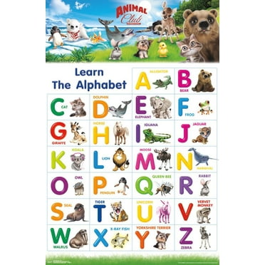 Basic Skill Poster Set - Educational - 6 Pieces - Walmart.com