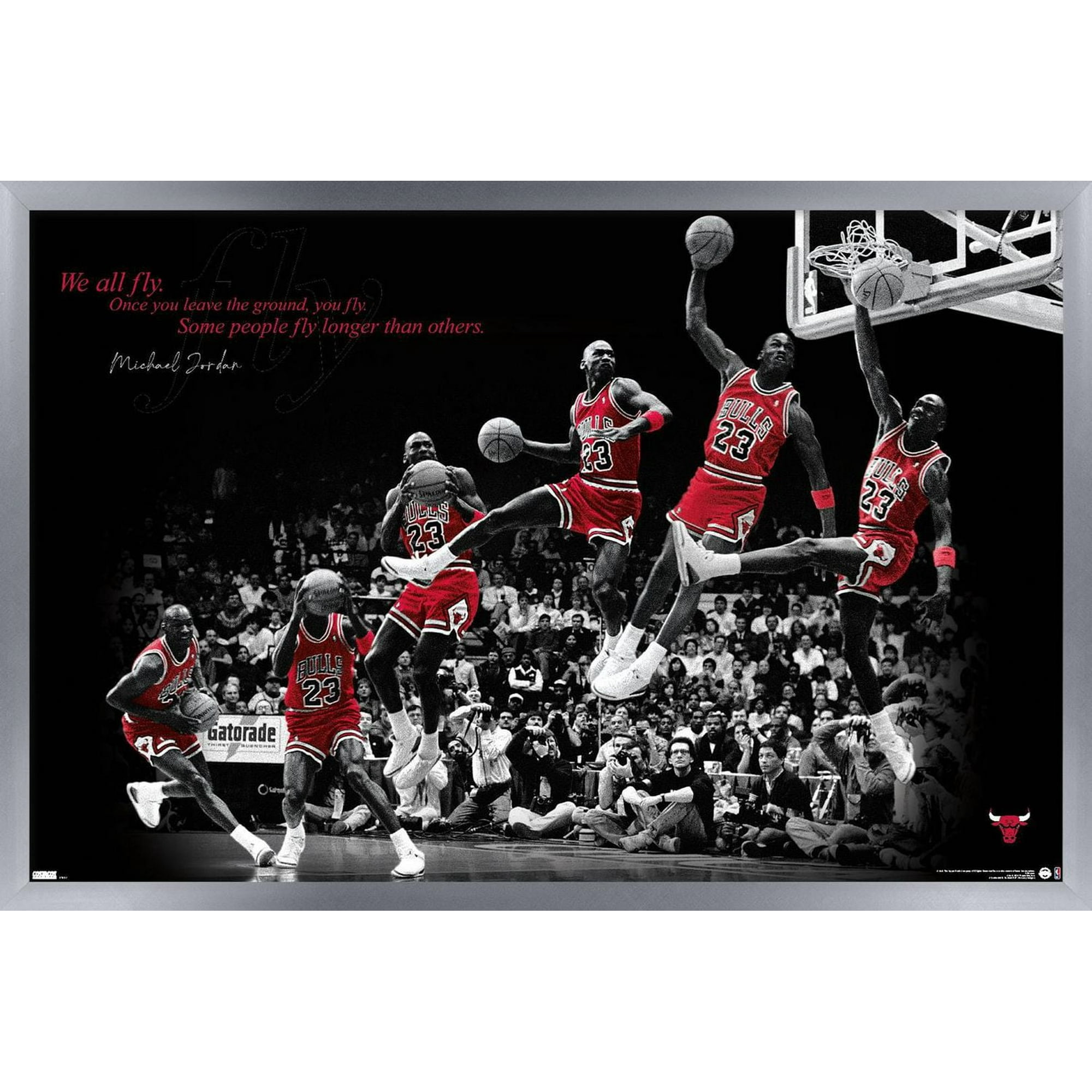 Click here for Trends International Michael Jordan - Fly Wall Pos... prices