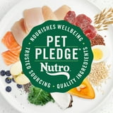Nutro Ultra Adult Large Breed Dry Dog Food, Chicken, Lamb and Salmon ...