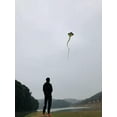 Hengda 49ft Green Big Snake Kite for Kids & Adults, Polyester, Perfect ...