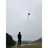 Hengda 49ft Green Big Snake Kite for Kids & Adults, Polyester, Perfect ...