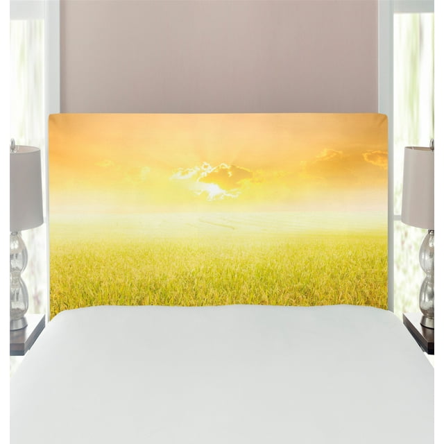 Yellow Headboard, Rice Field Farm and Sunset Countryside Agriculture ...