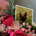 3drose, Issaquah, Wa, Usa. Free-ranging Rhode Island Red Hen., Pr, 12 ...