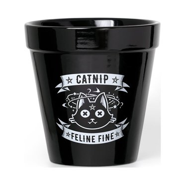 Alchemy Gothic Witches Garden Ceramic Plant Pot - Black - Walmart.com