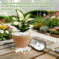 18-lb Bulk Bag White Pebbles 1/2" Size Aquarium Gravel Outdoor Garden ...