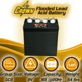 Crown CR-165 8V Deep-Cycle Flooded Battery replaces Trojan T-875 X4 ...