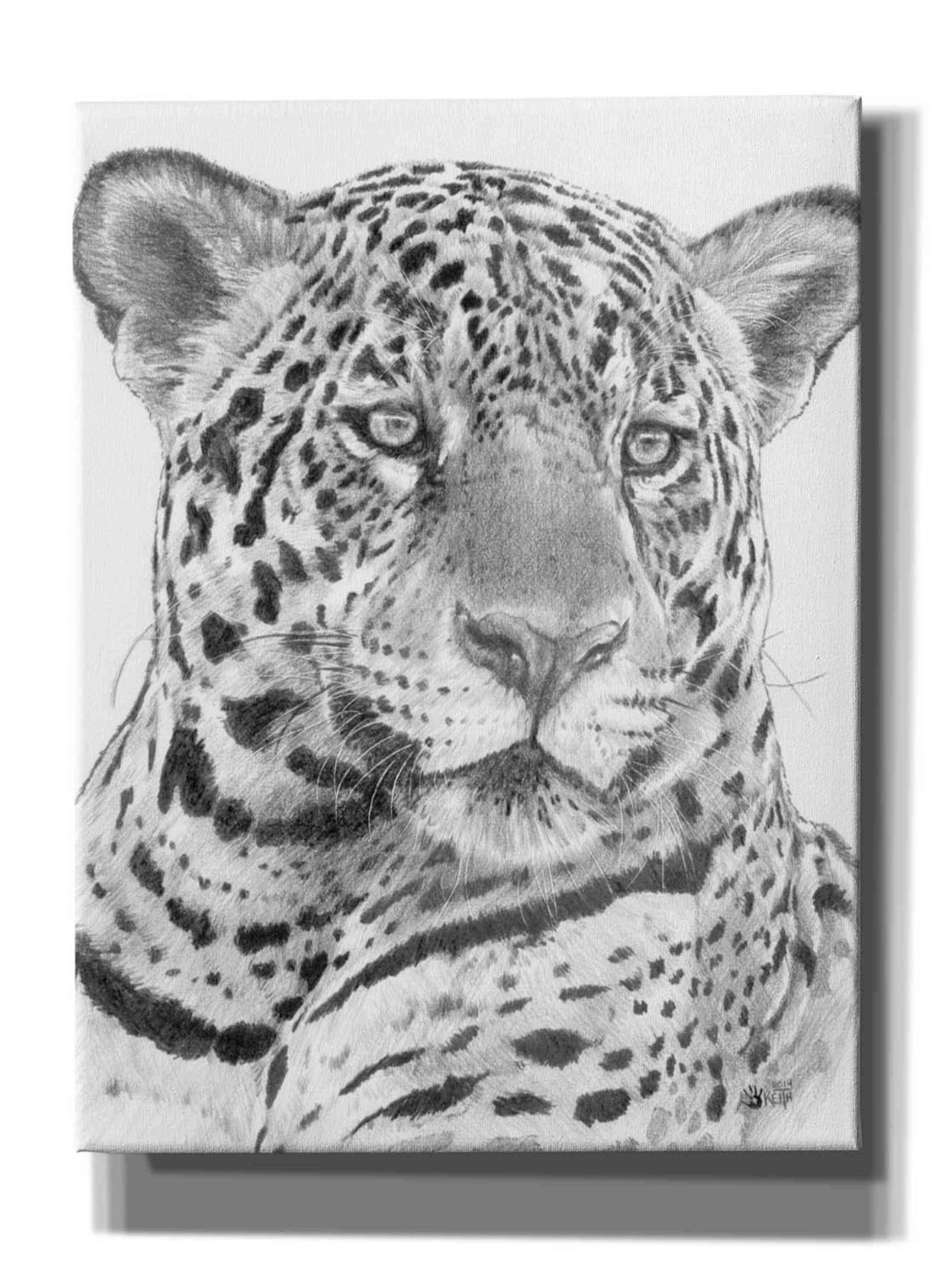 Epic Graffiti 'Placate' by Barbara Keith, Canvas Wall Art, 12"x16 ...