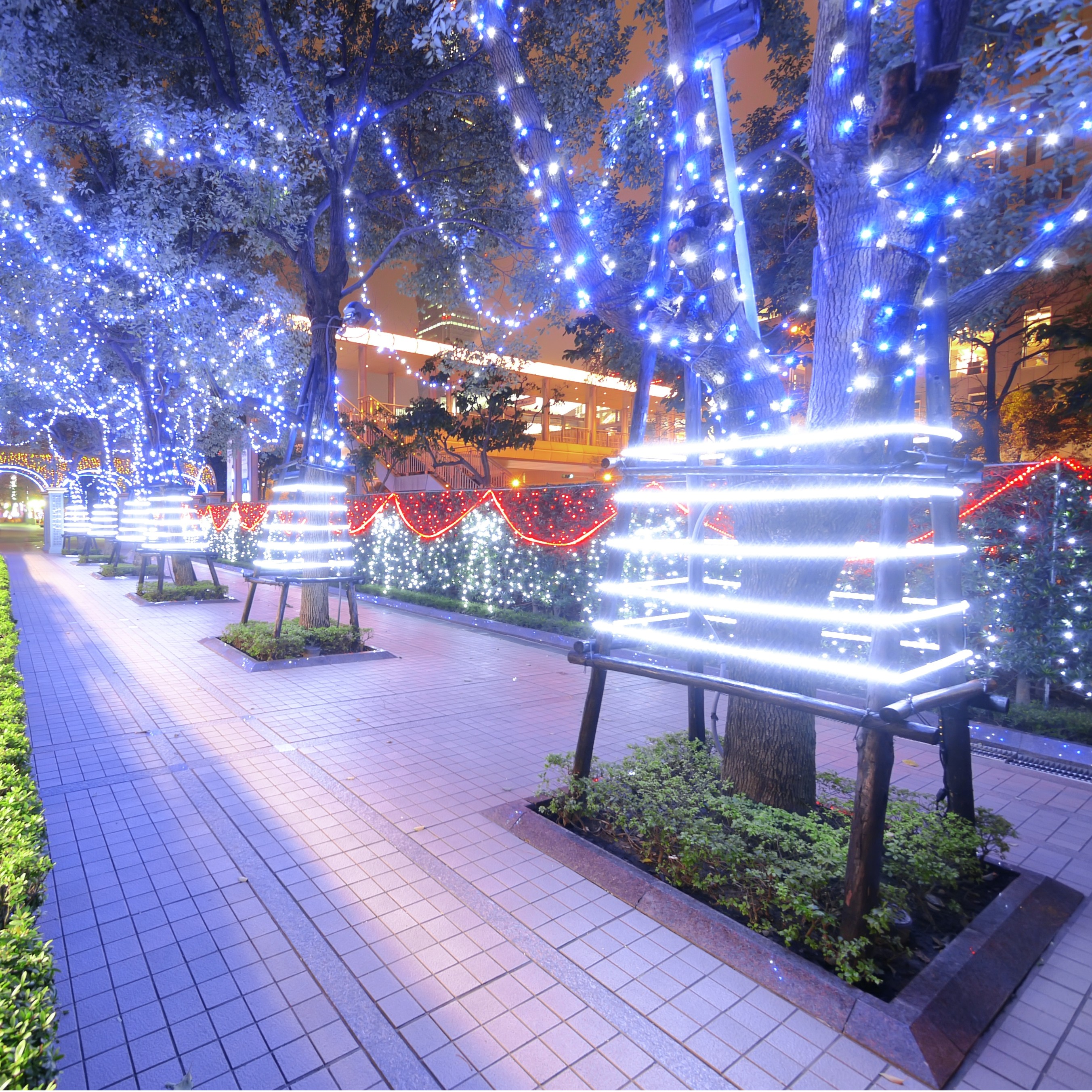 Chasing Led Rope Christmas Lights | Shelly Lighting