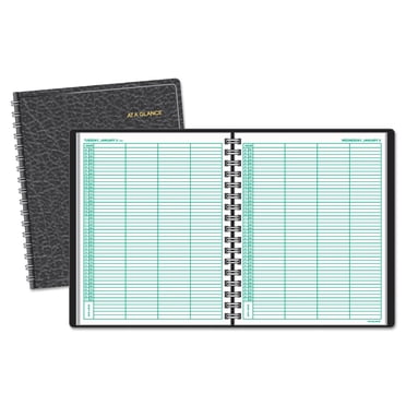 At-A-Glance Professional Daily Appointment Book - Walmart.com