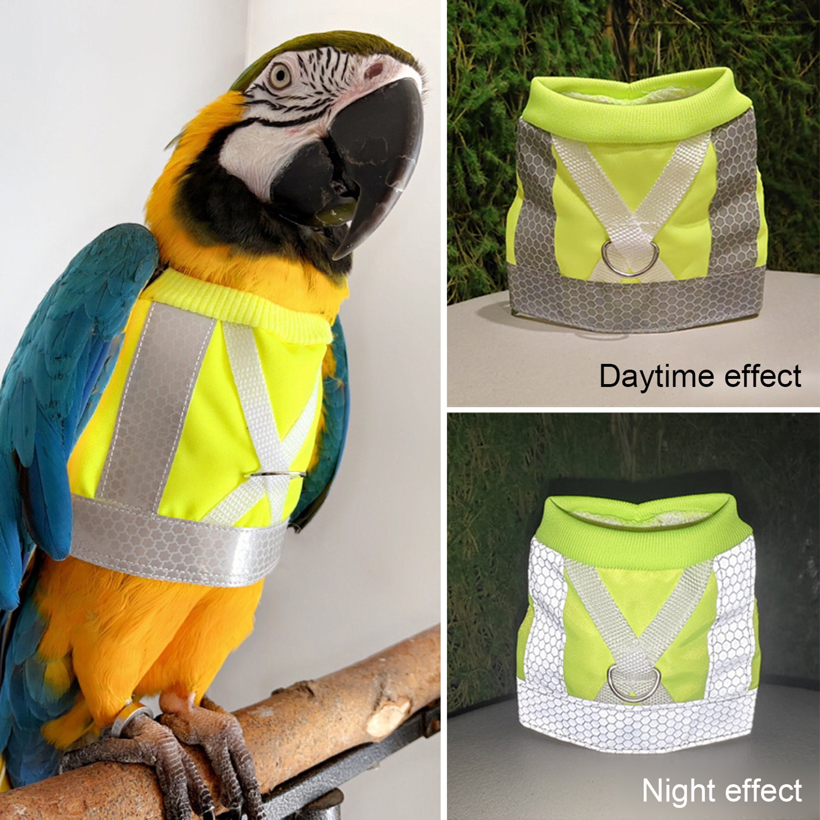 Flight harness | Mattgrangerphotography.com