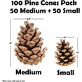 100 Mix Size Natural Pine Cones for Decorating - 50 Medium & Small ...