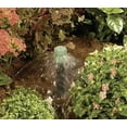 Orbit Irrigation 54042 Plastic Underground Sprinkler Mushroom Bubbler ...