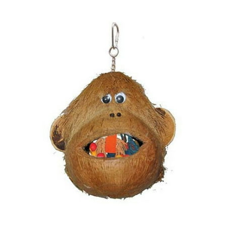 A and E Cage Co. Coconut Monkey Head Bird Toy - Walmart.com