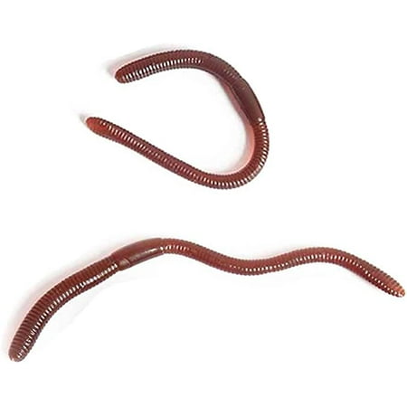 Simulation insect model glue soft small animal fake long earthworm fake ...