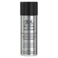 Winsor And Newton All Purpose Aerosol Varnish 14 Oz Matte