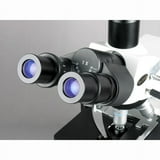 AmScope 40X-2500X Infinity Kohler Biological Compound Microscope + 8MP ...